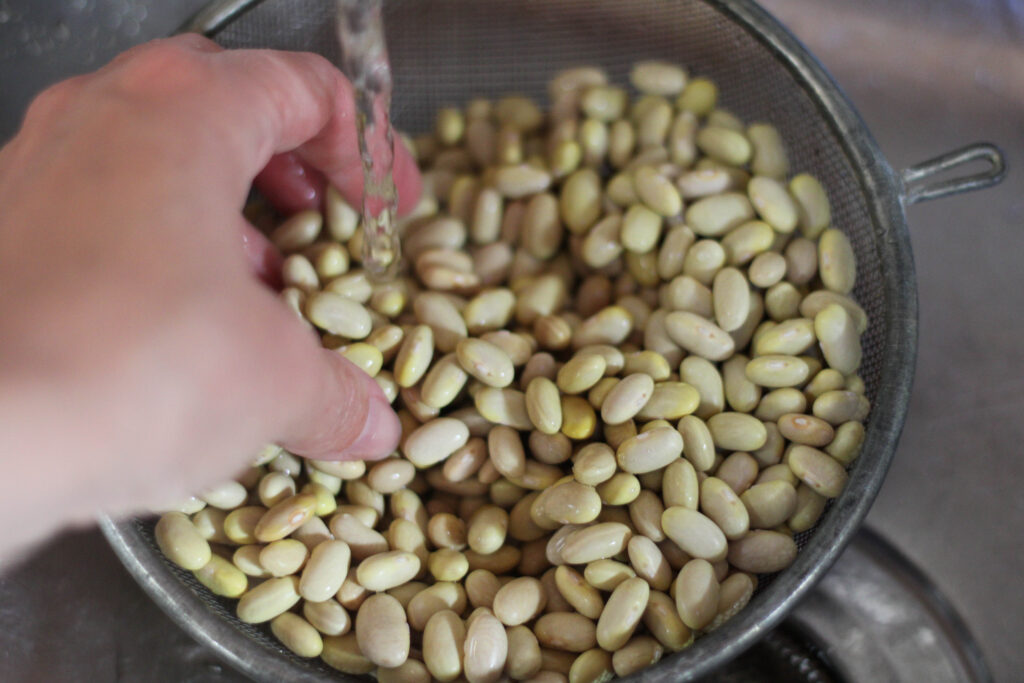 Peruvian Beans Recipe (Mayocoba Beans) - Cueva's Kitchen